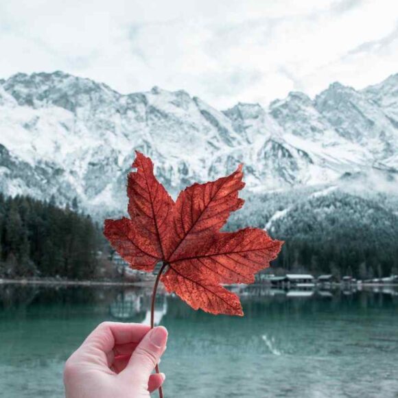 Quebec Released the Details of Immigration Draw | ImmigCanada