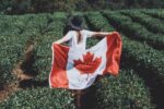 Latest SINP Draw 2024: Invited 35 Candidates | ImmigCanada