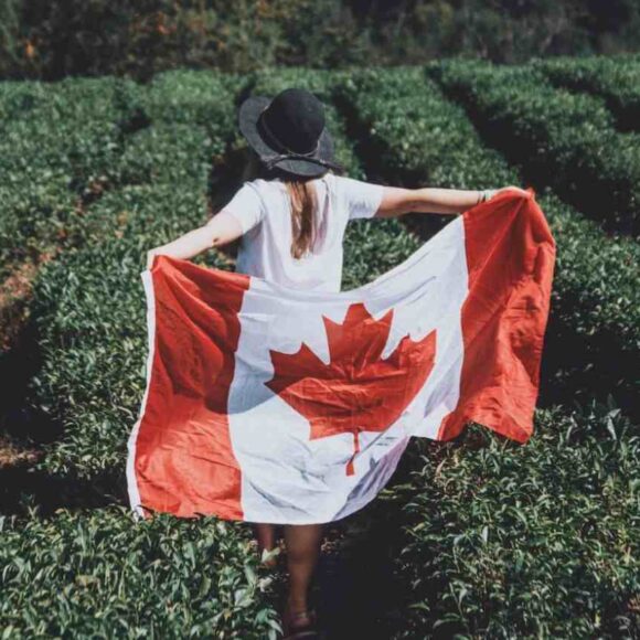 Rising Immigration Demand Sparks Growth in Newfoundland and Labrador